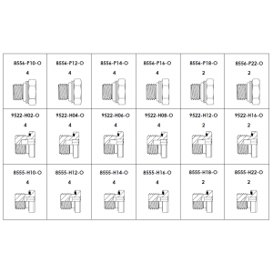 Brennan Industries BSP/Metric Cap & Plug Kit